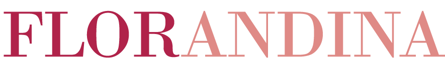 Quality Roses | Florandina